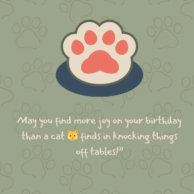 100 Birthday Wishes For Cat Lovers To Write In Birthday Card