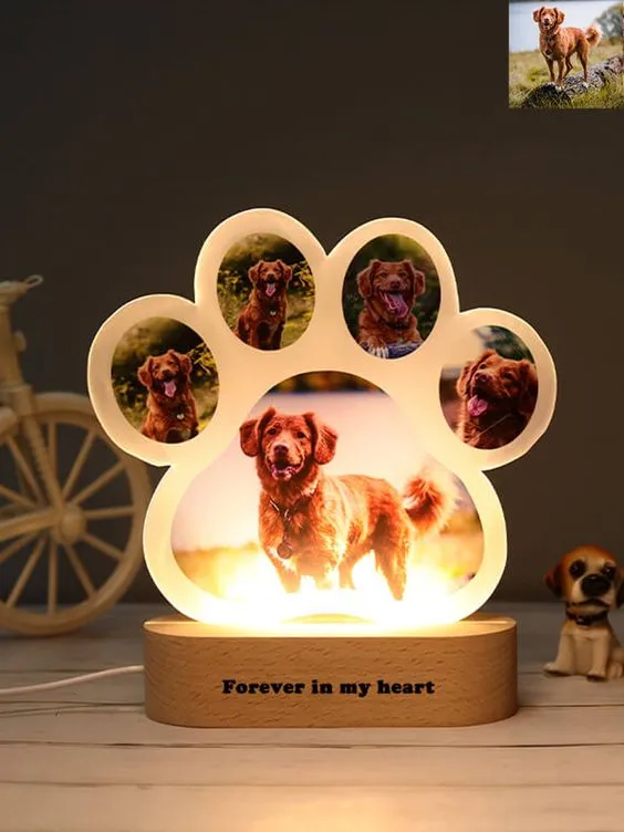 5 Best Personalized Dog Gift Ideas Your Dog Will Love